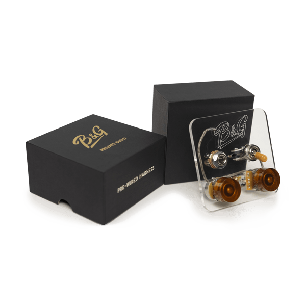 B&G Private Build Harness – B&G Guitars